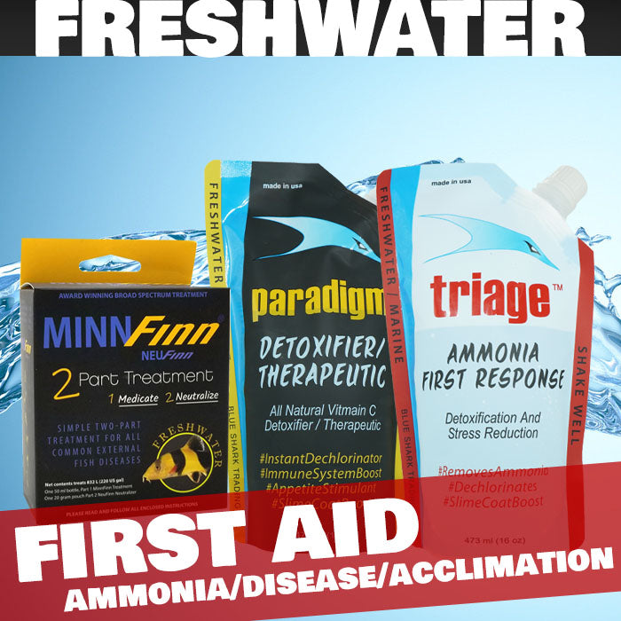 First Aid Kit- Freshwater | Blue Shark Journey